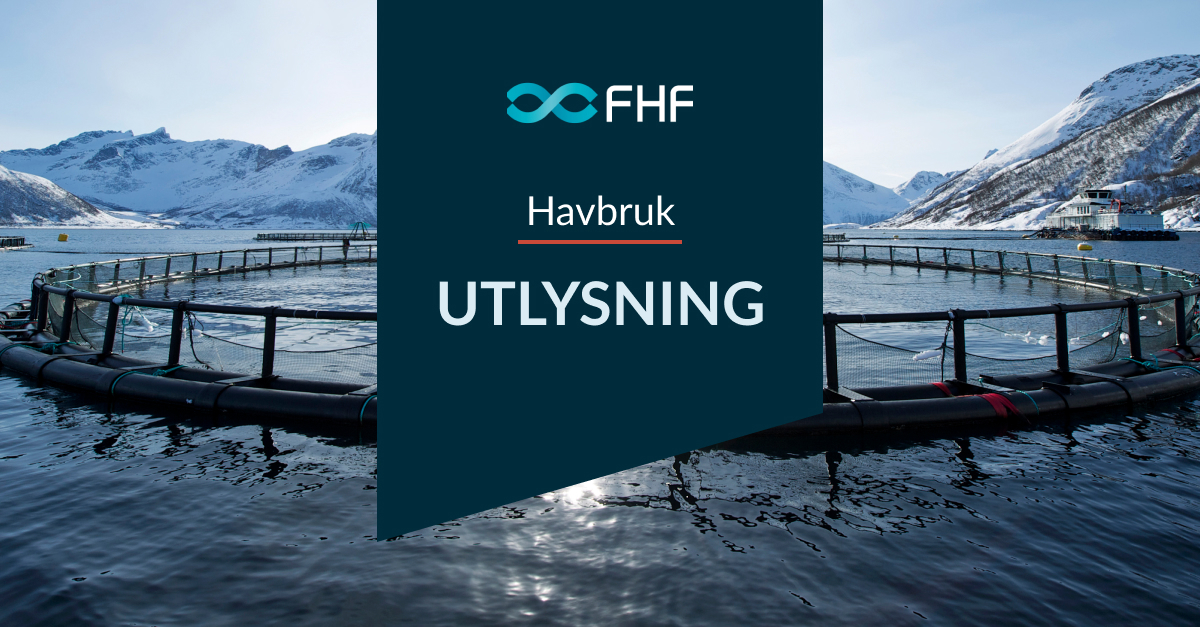 Forebygging og kontroll med lus 2024