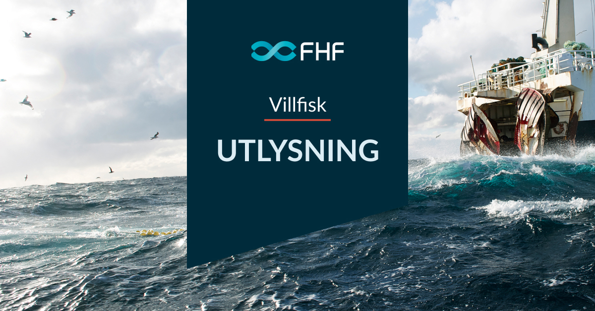 Tiltak for forbedring av størrelsesseleksjon i teinefiske etter torsk ...